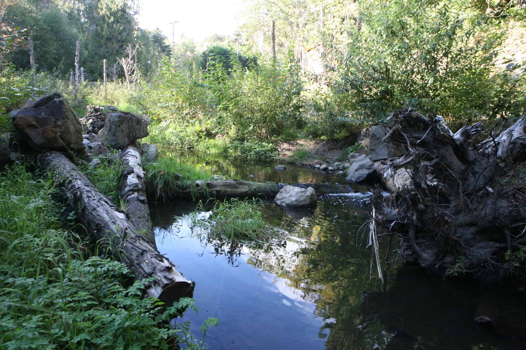 River and Stream Restoration - Natural Systems Design