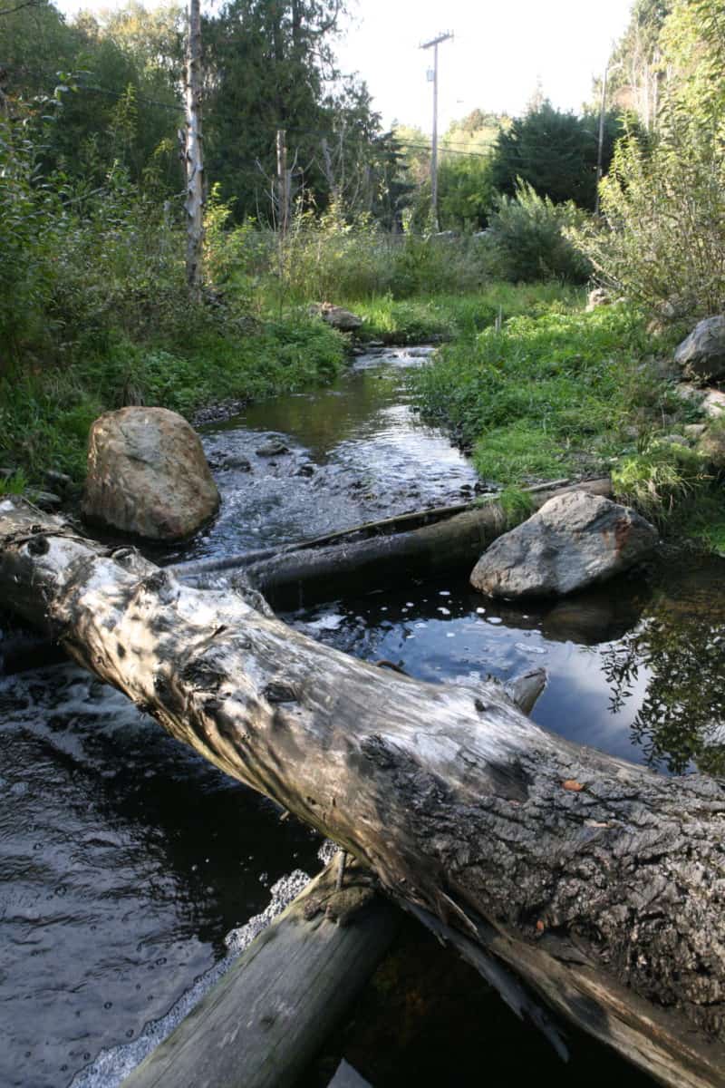 Home - Natural Systems Design