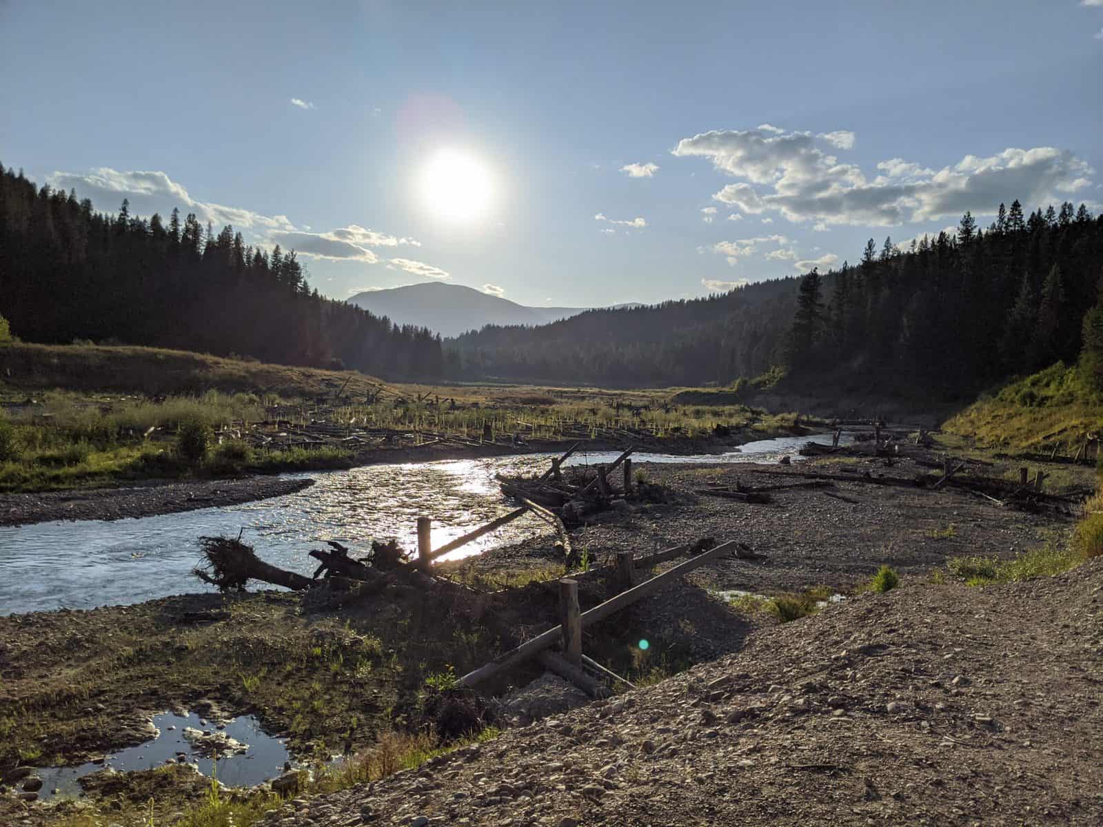 The Physical and Biological Effects of Engineered Logjams (ELJs) in the ...