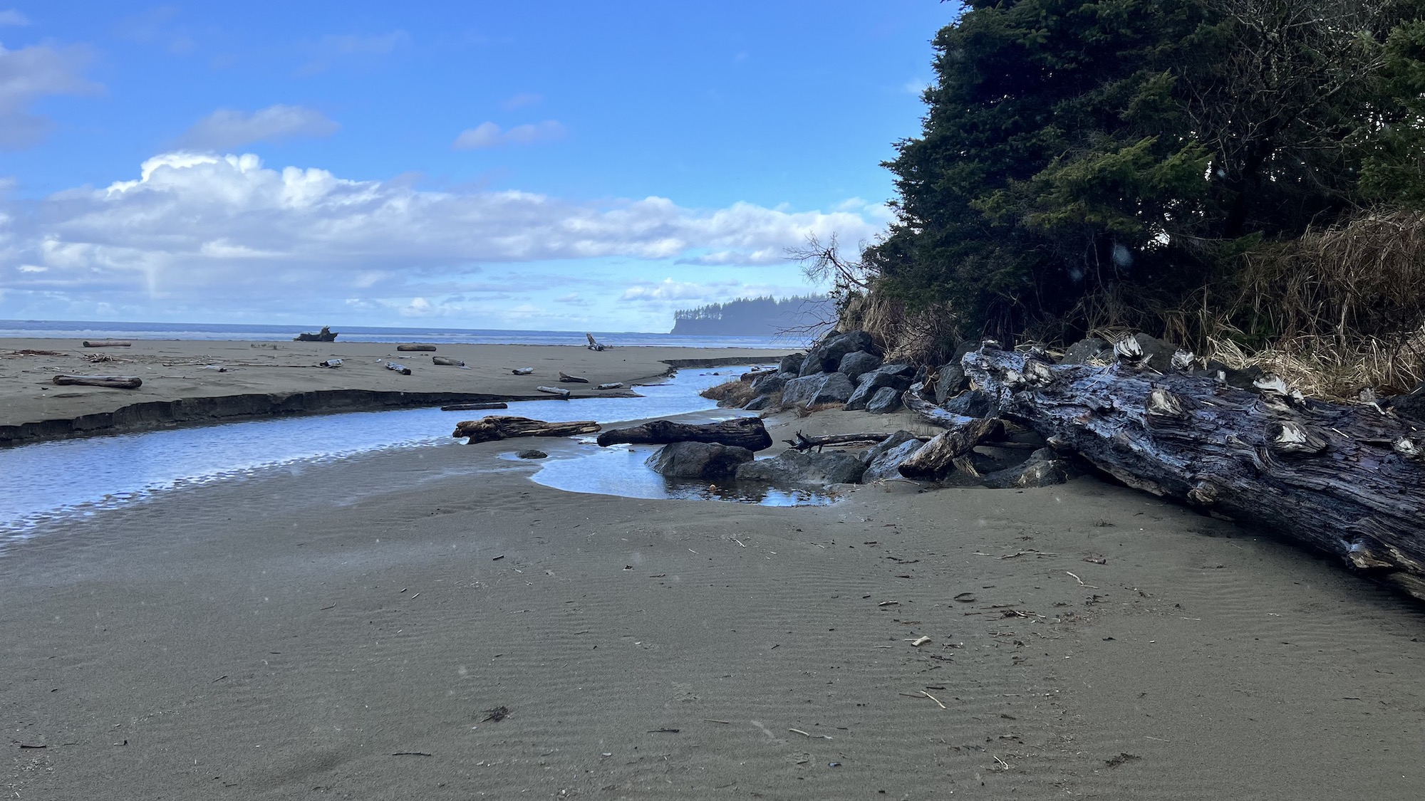 Home - Natural Systems Design