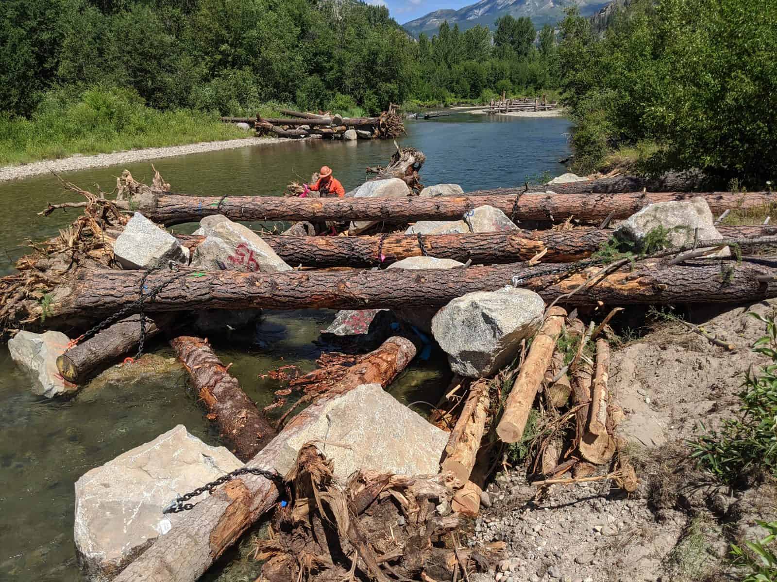 Entiat River – Gray and Stormy Reaches - Natural Systems Design