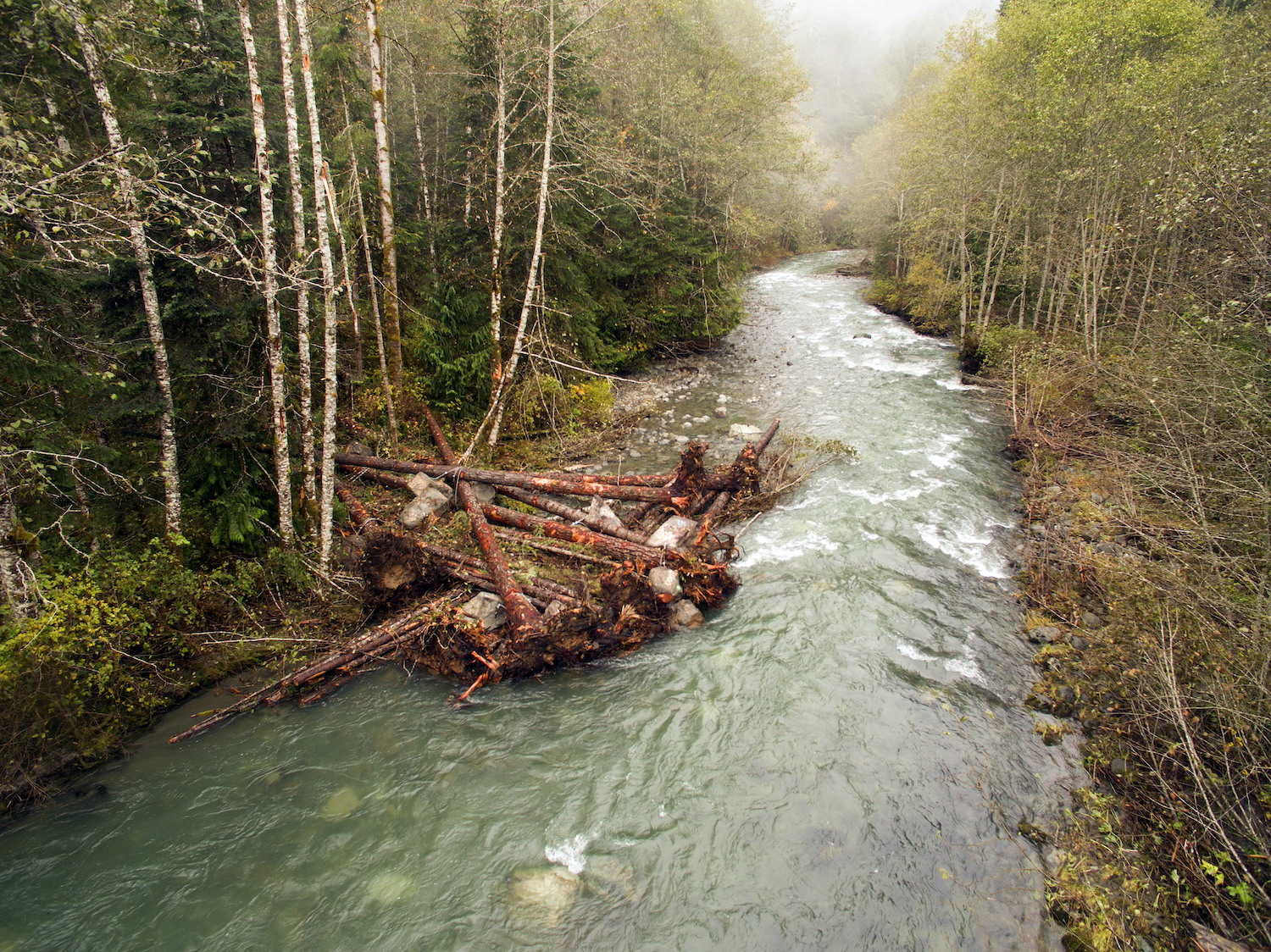 Logjam Design - Natural Systems Design
