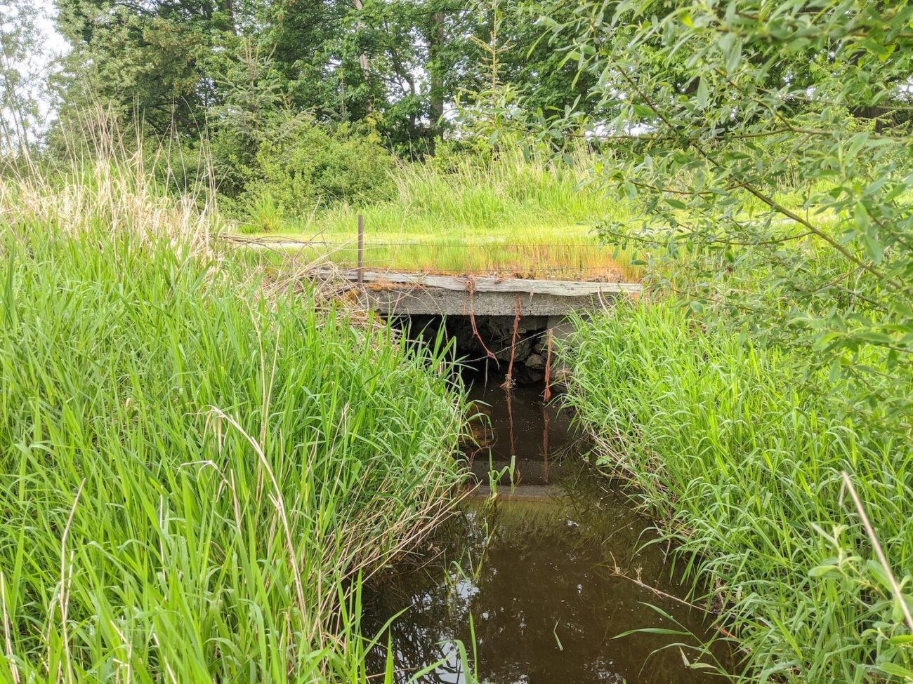 Services - Natural Systems Design and Coastal Geologic Services