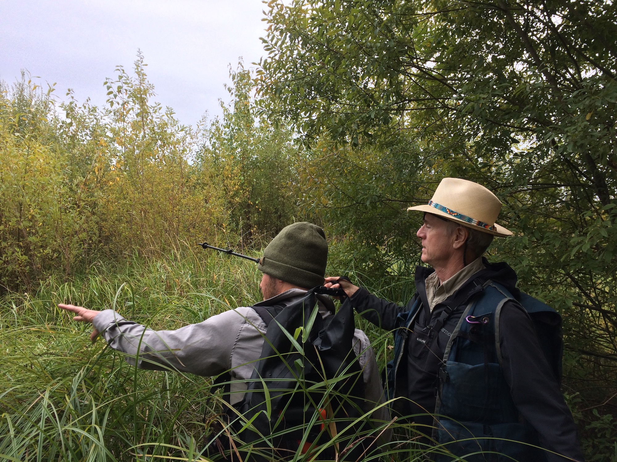 Careers - Natural Systems Design