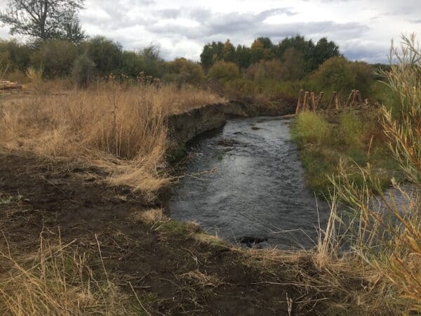 Bank Stabilization and Bioengineering - Natural Systems Design