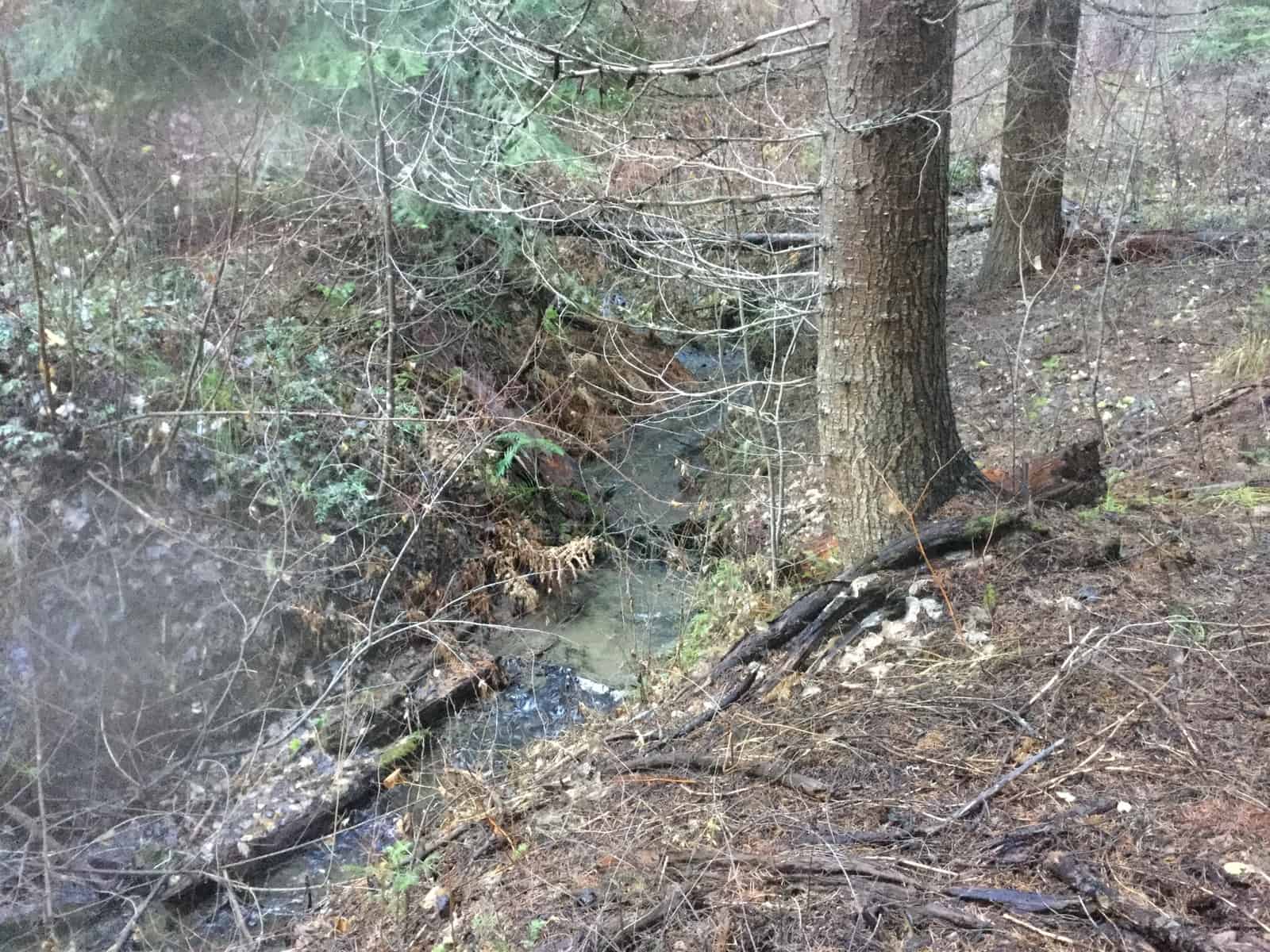 Natural Water Storage - Natural Systems Design