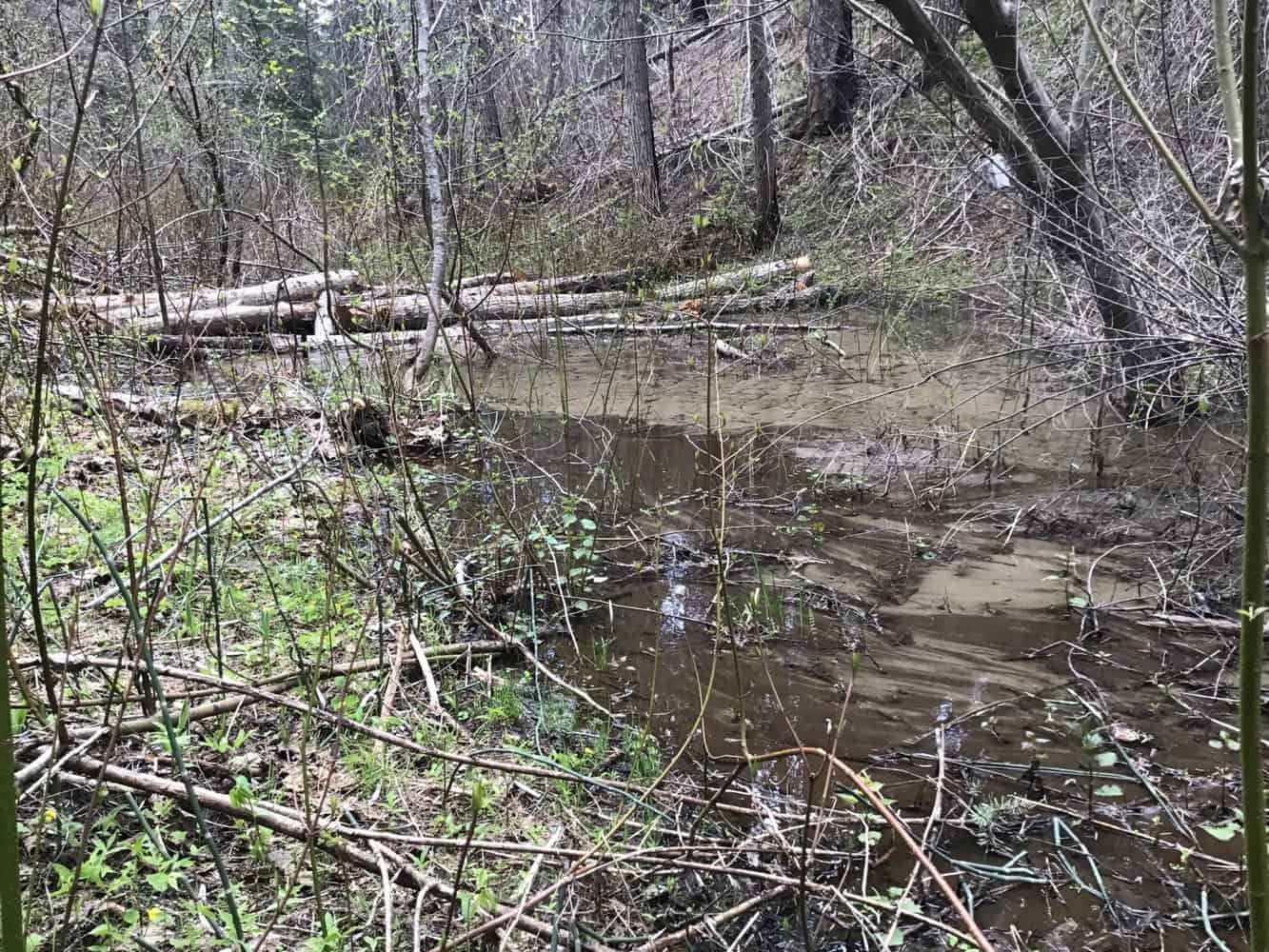 Natural Water Storage - Natural Systems Design