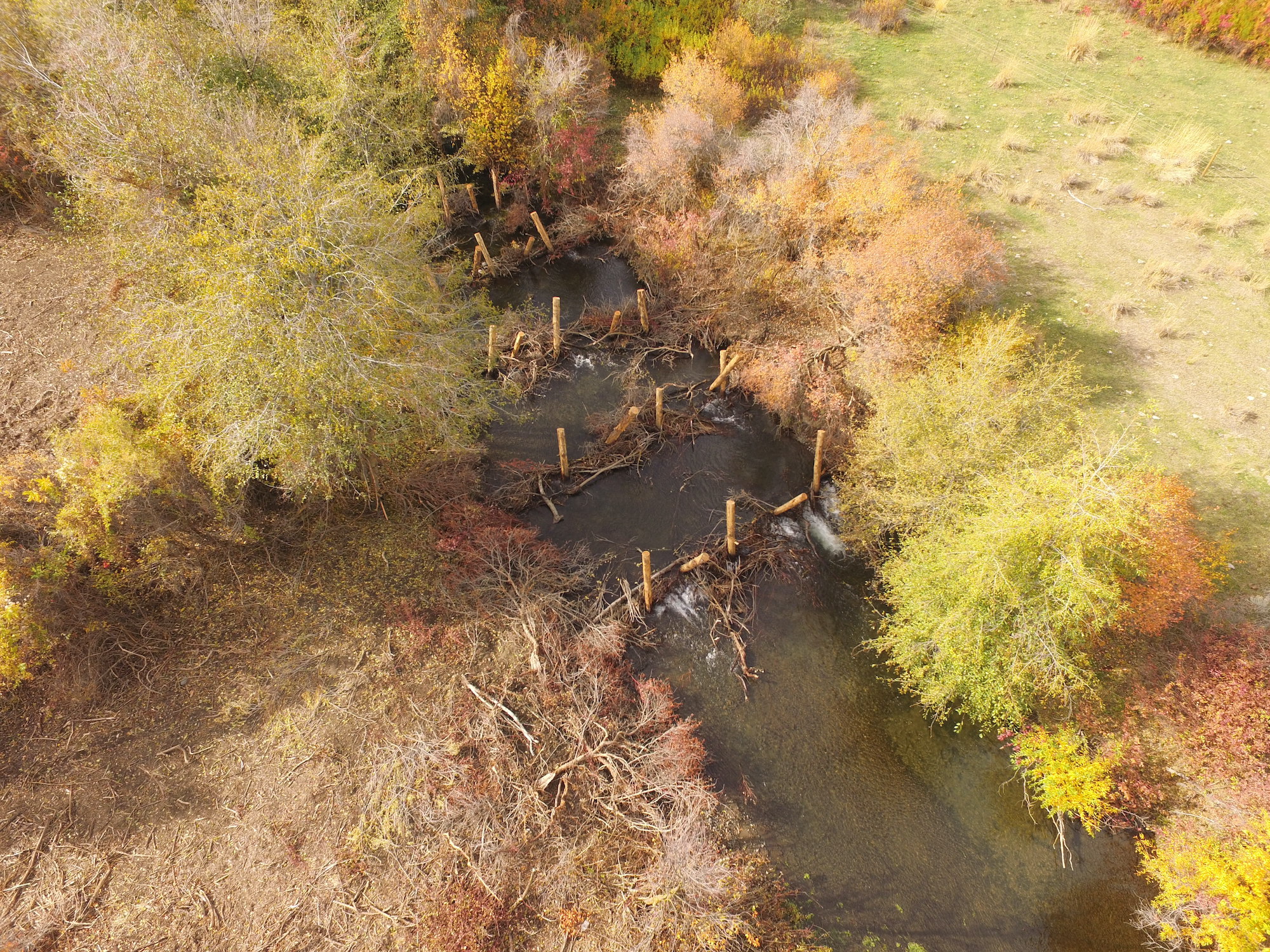 Bank Stabilization and Bioengineering - Natural Systems Design and ...