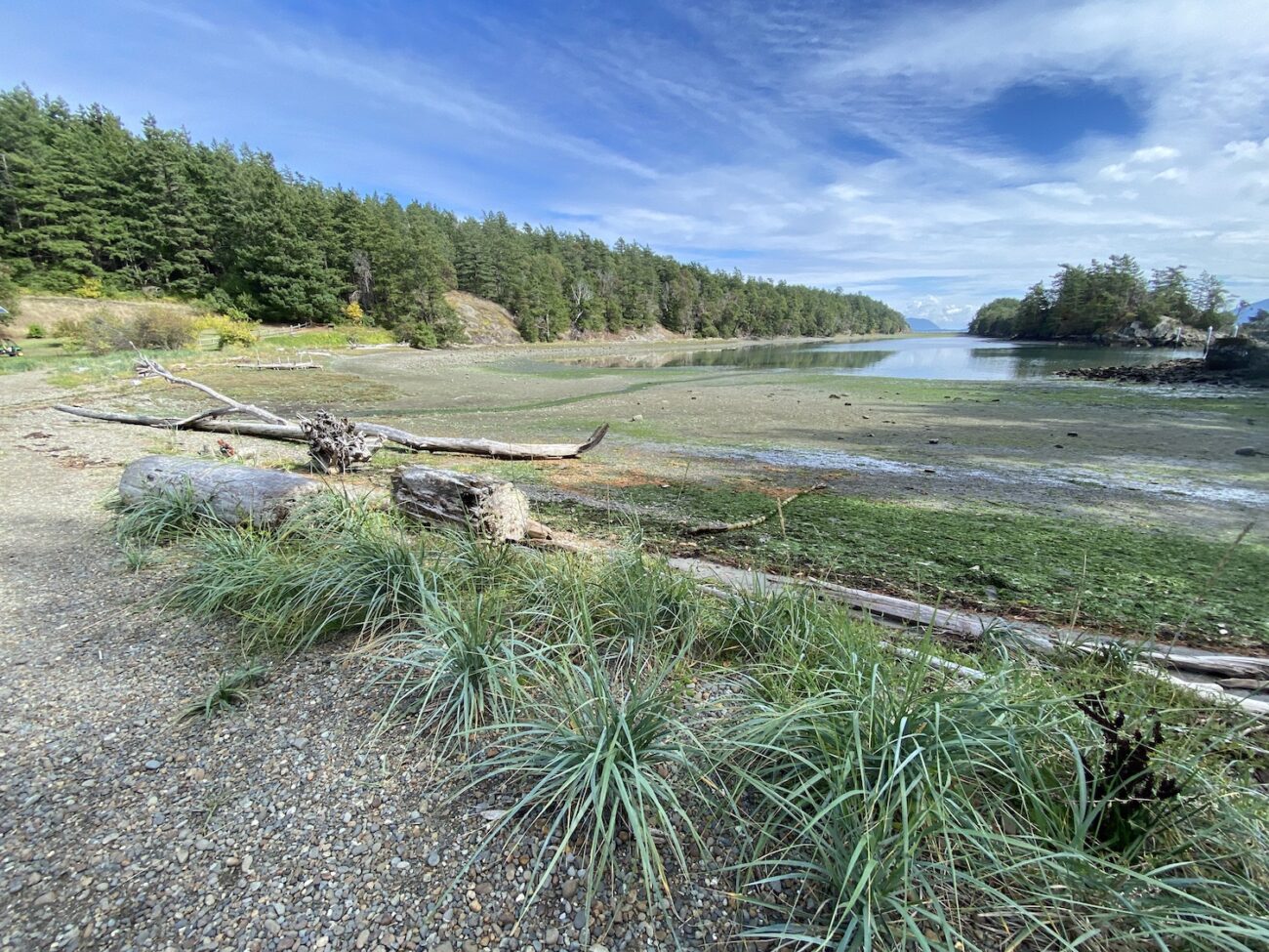 Home - Natural Systems Design and Coastal Geologic Services