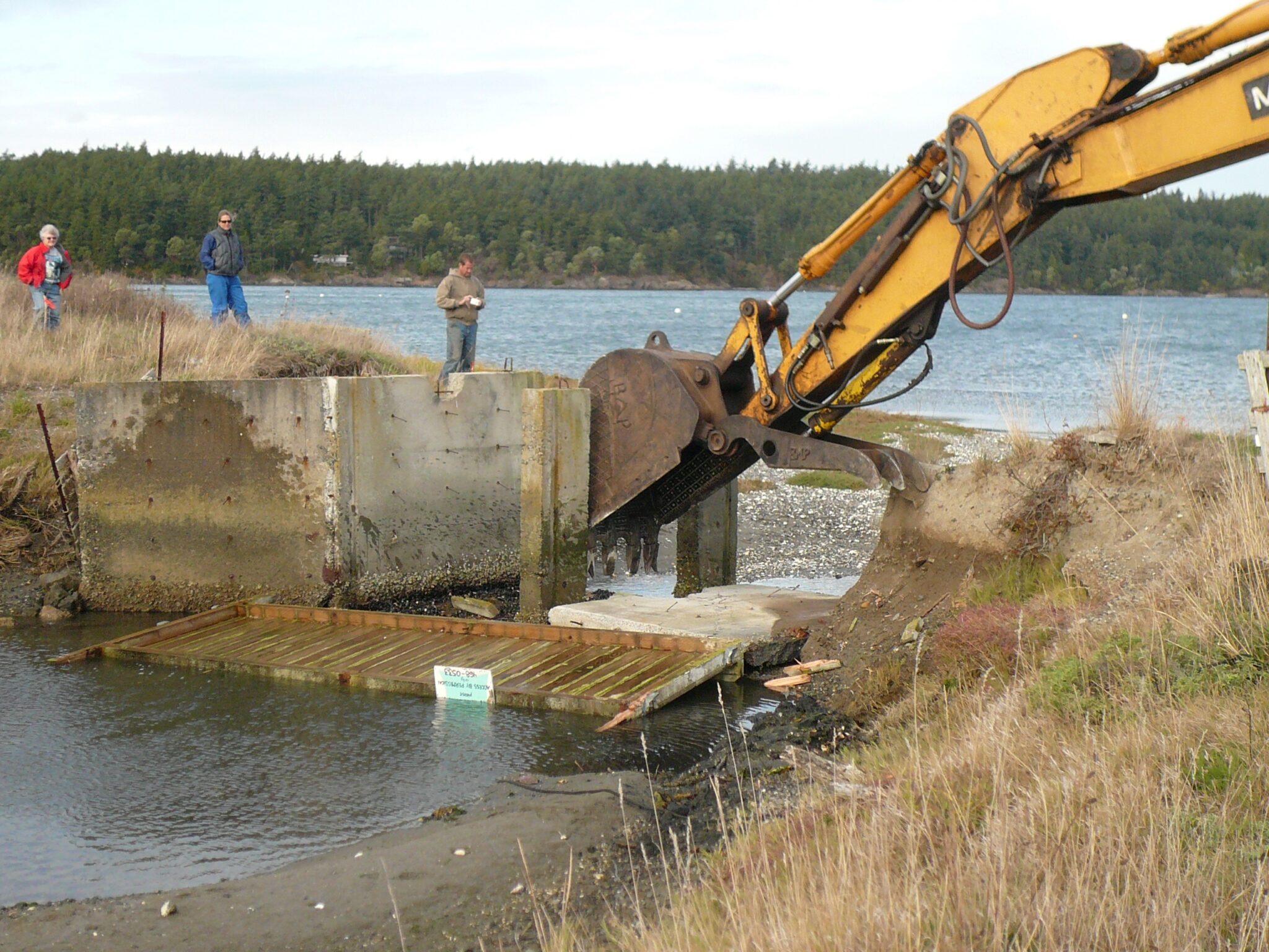 Coastal Restoration - Natural Systems Design