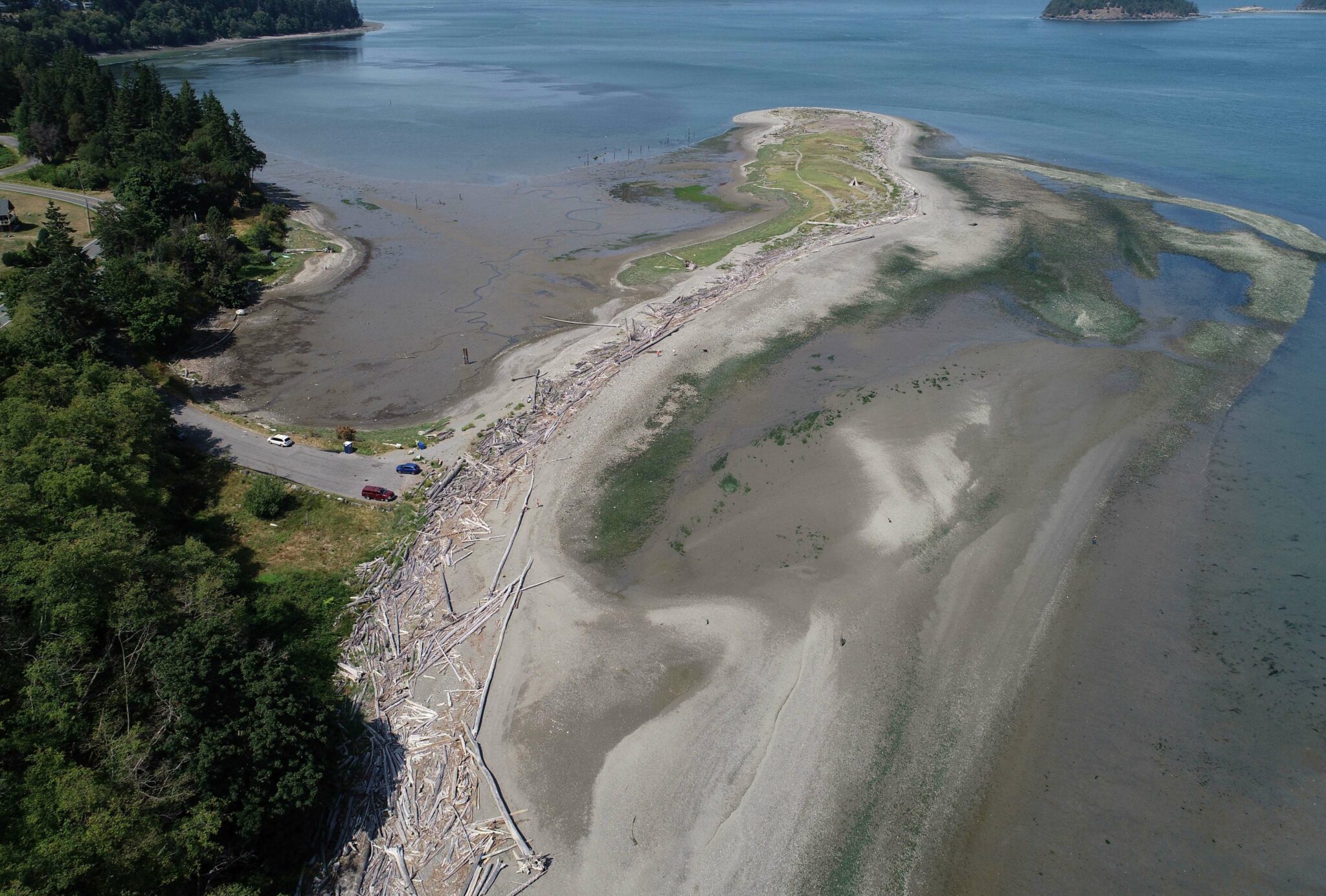 Soft Shore/Nature-based Solutions - Natural Systems Design