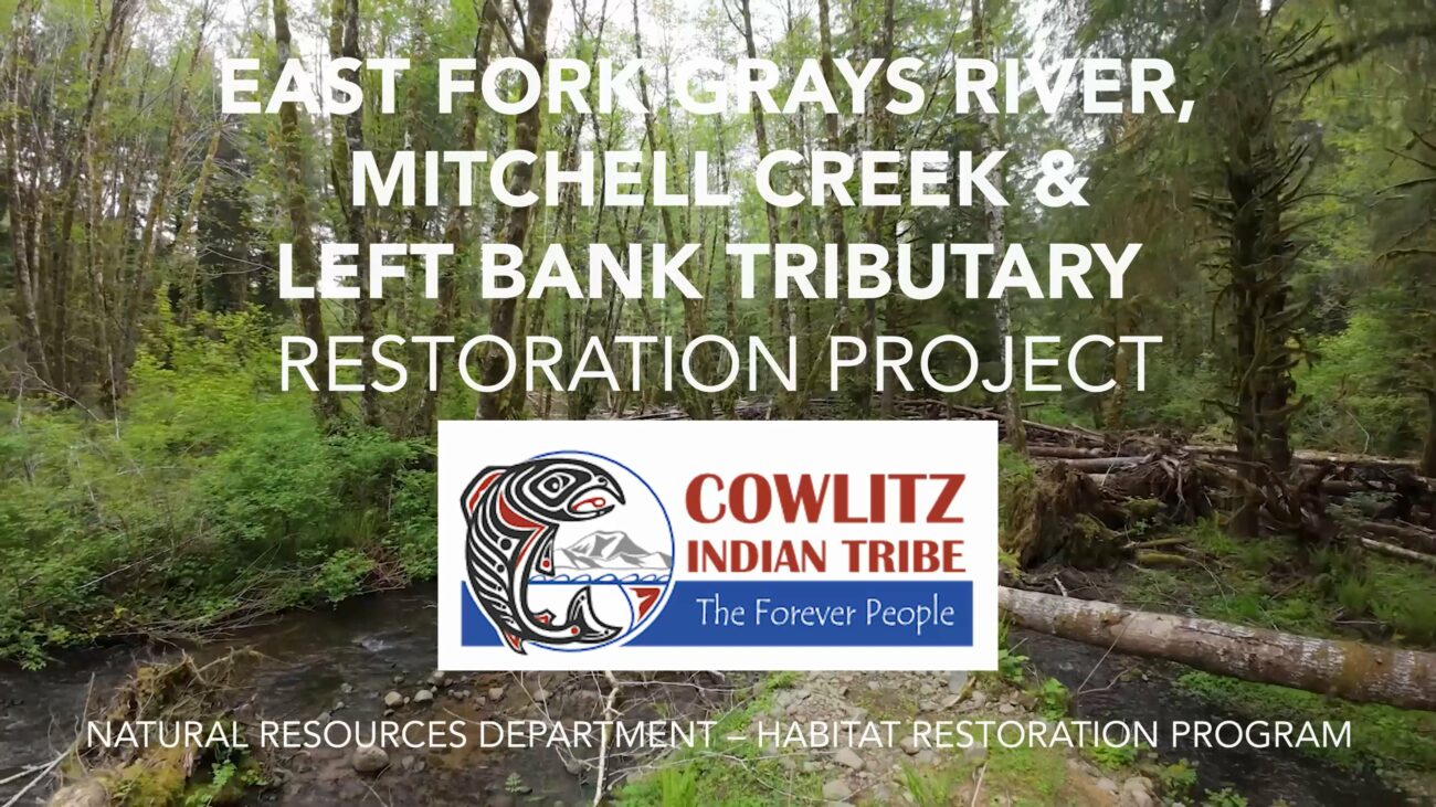 Cowlitz Indian Tribe – Restoration Efforts in the East Fork Grays ...